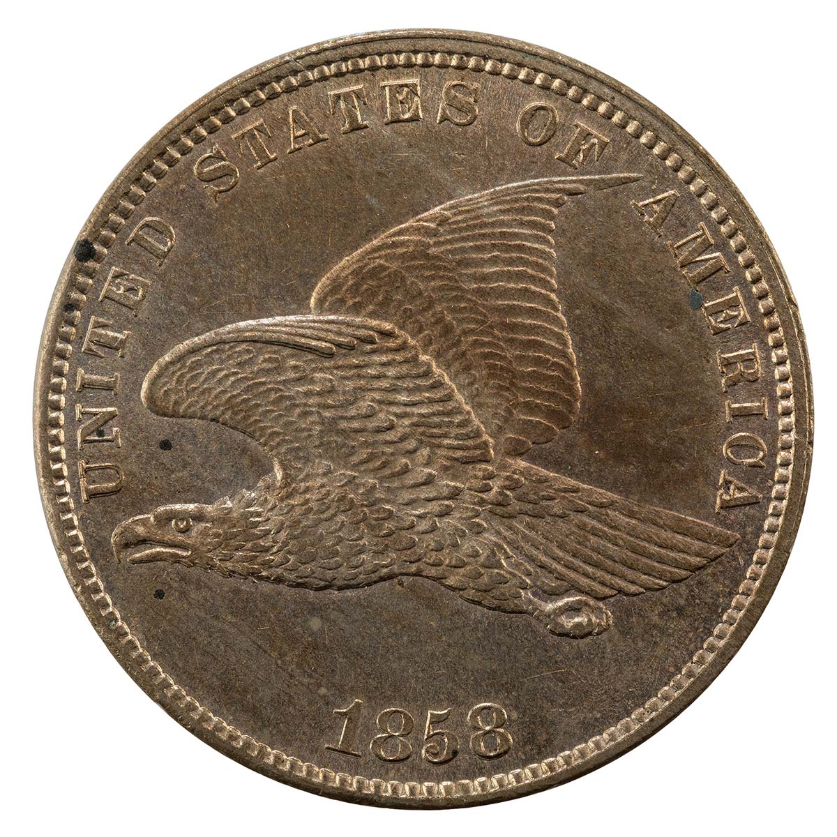 Flying Eagle Cents – Mount Vernon Coin