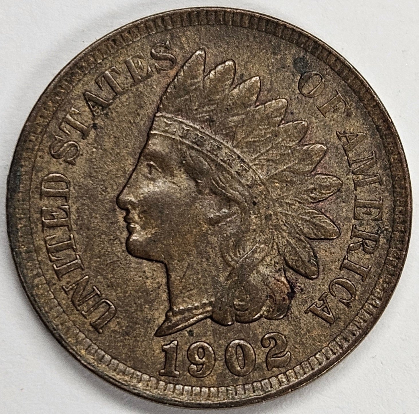 1902 Indian Cent Select BU Brown – Mount Vernon Coin