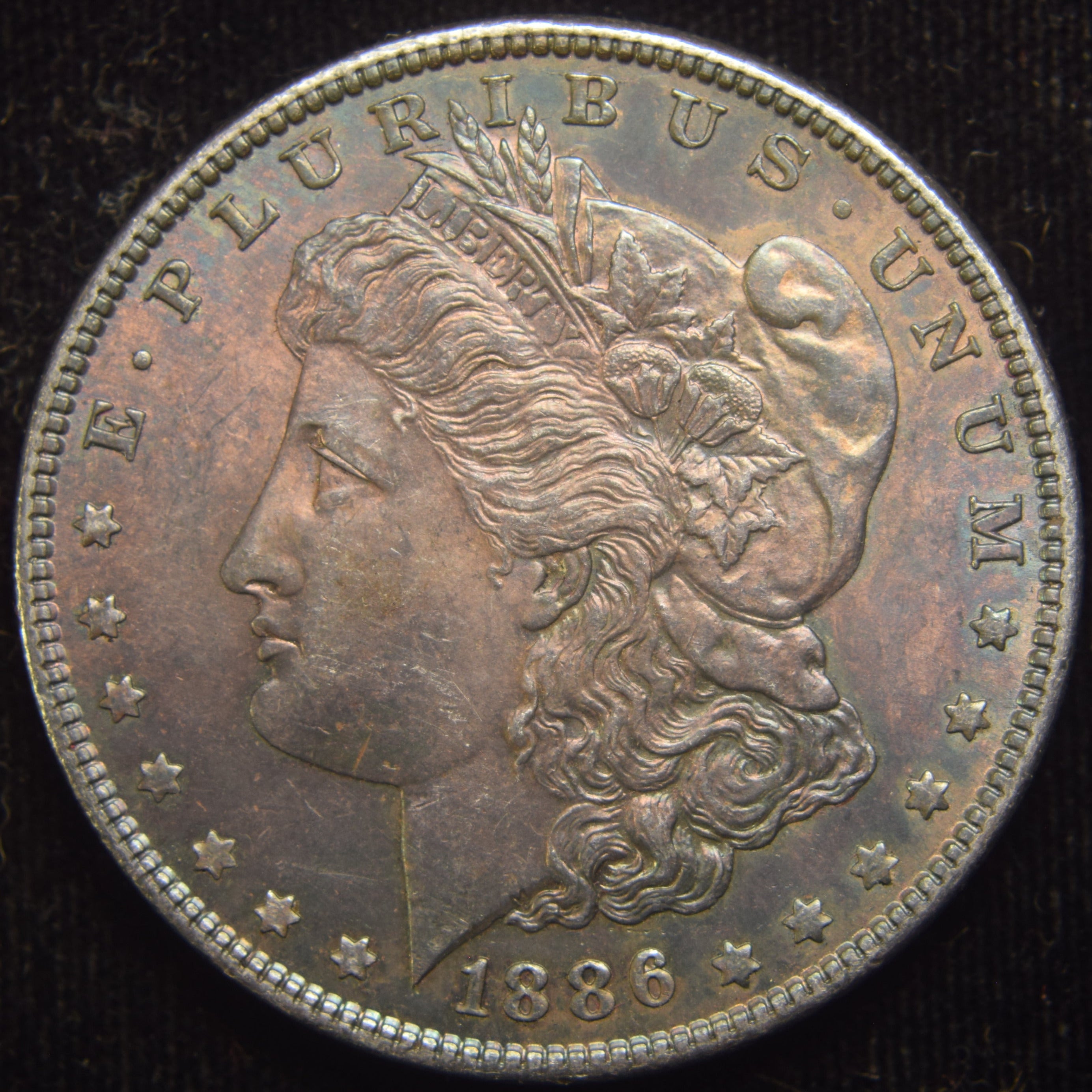 1886 Morgan Dollar Choice Uncirculated Toned – Mount Vernon Coin